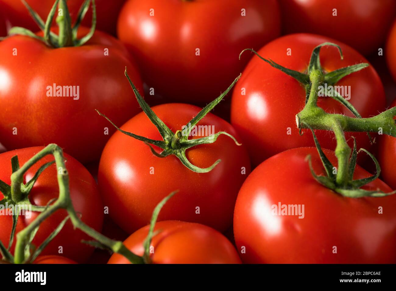 Juicy italian red tomatoes hi-res stock photography and images - Alamy