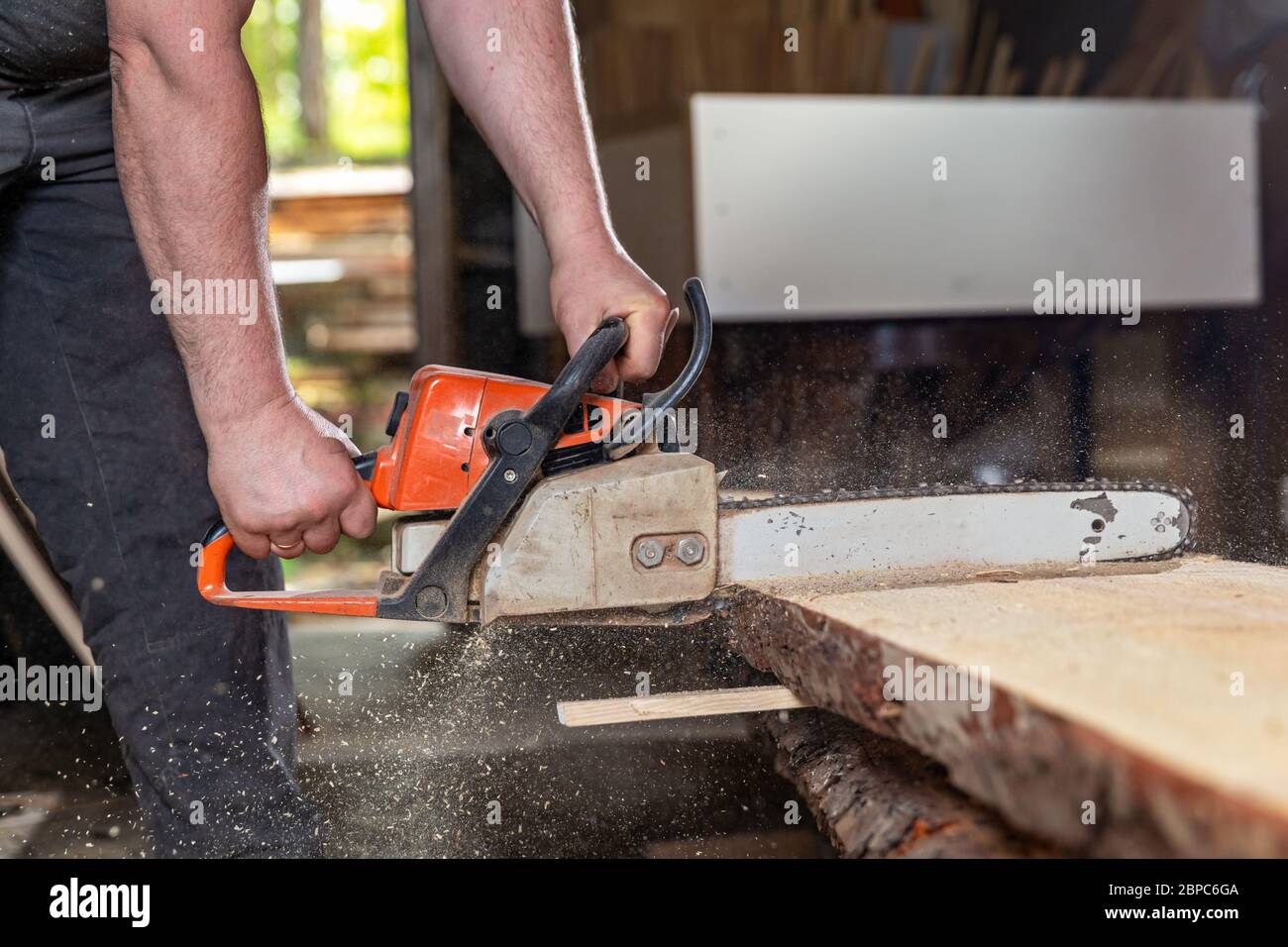 carpenter cut wood with hand chainsaw Stock Photo - Alamy