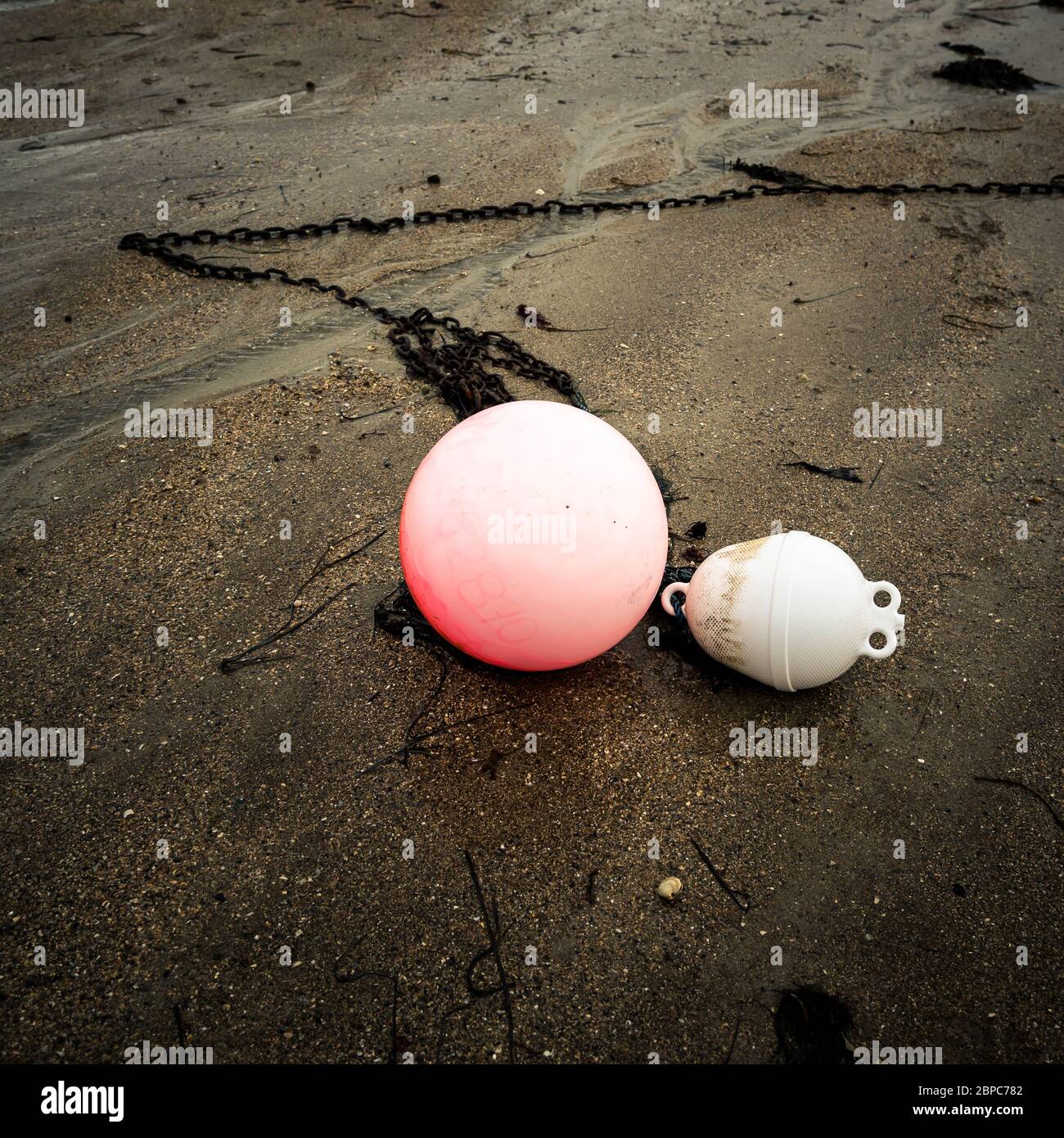Close-up view of a pink and a white buoy and their anchorage chains ...