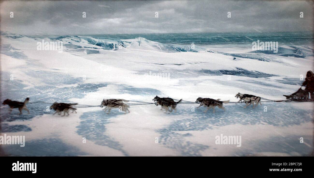 Togo dog nome hi-res stock photography and images - Alamy