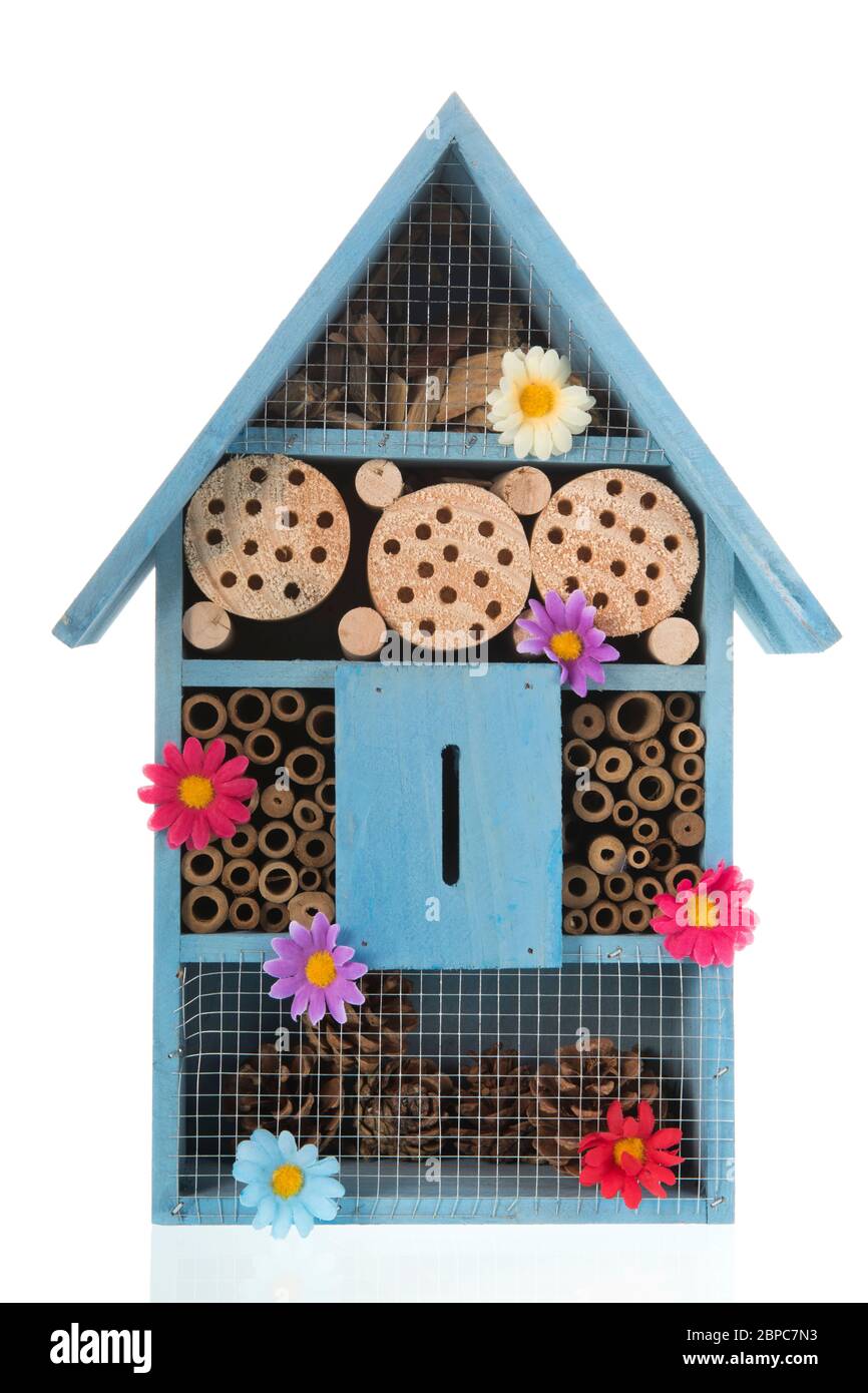 Blue insect hotel with flowers isolated over white background Stock ...