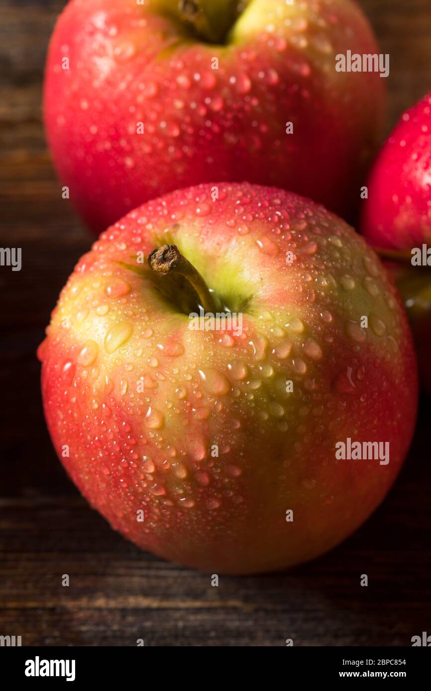 Raw Organic Red Fuji Apples in a Bunch Stock Photo - Alamy
