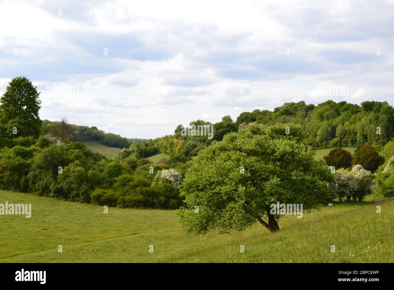 Magpie Bottom near Shoreham and Otford/Sevenoaks, Kent, England in May ...