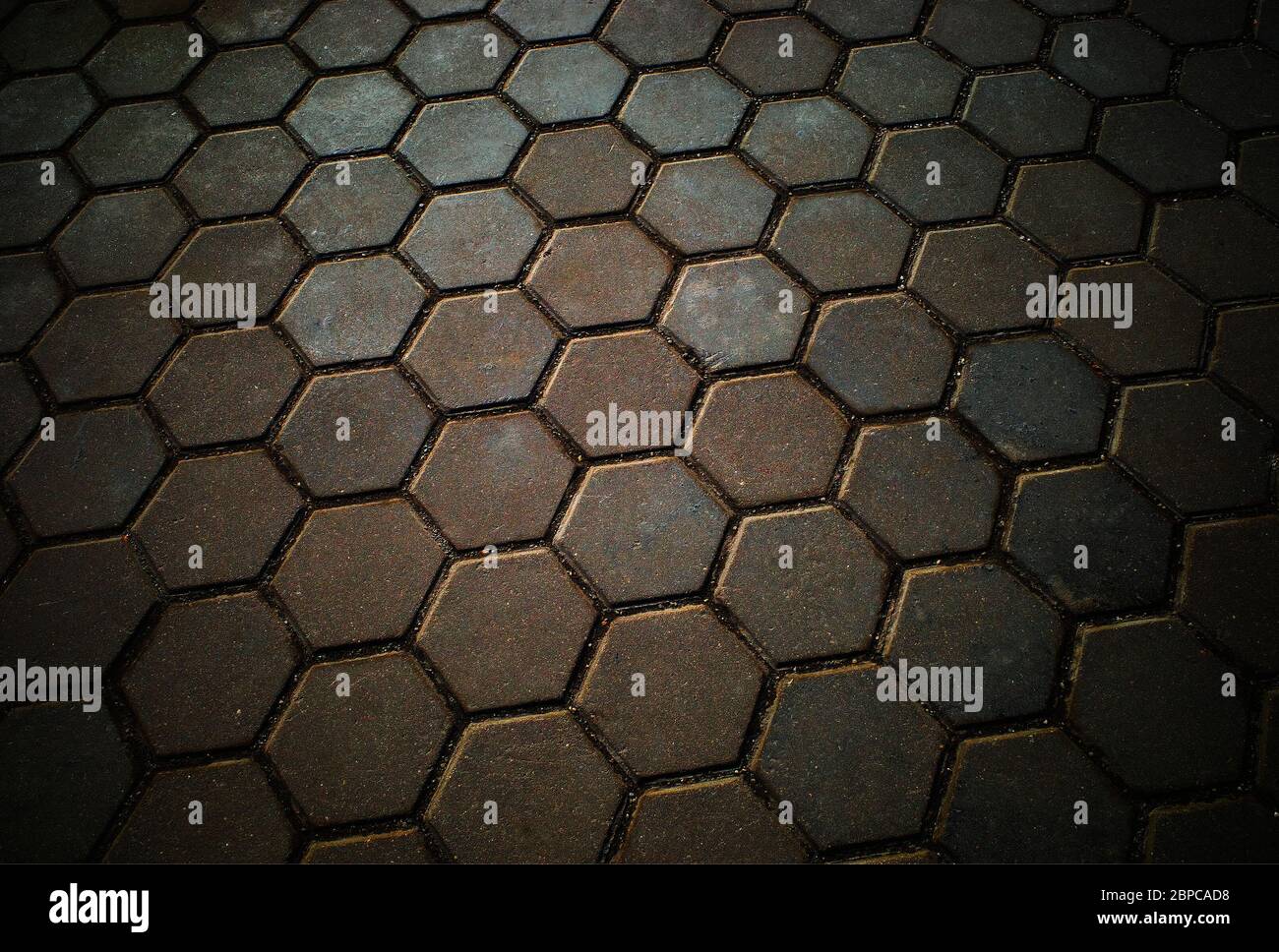 Pavement cell blocks texture background Stock Photo - Alamy
