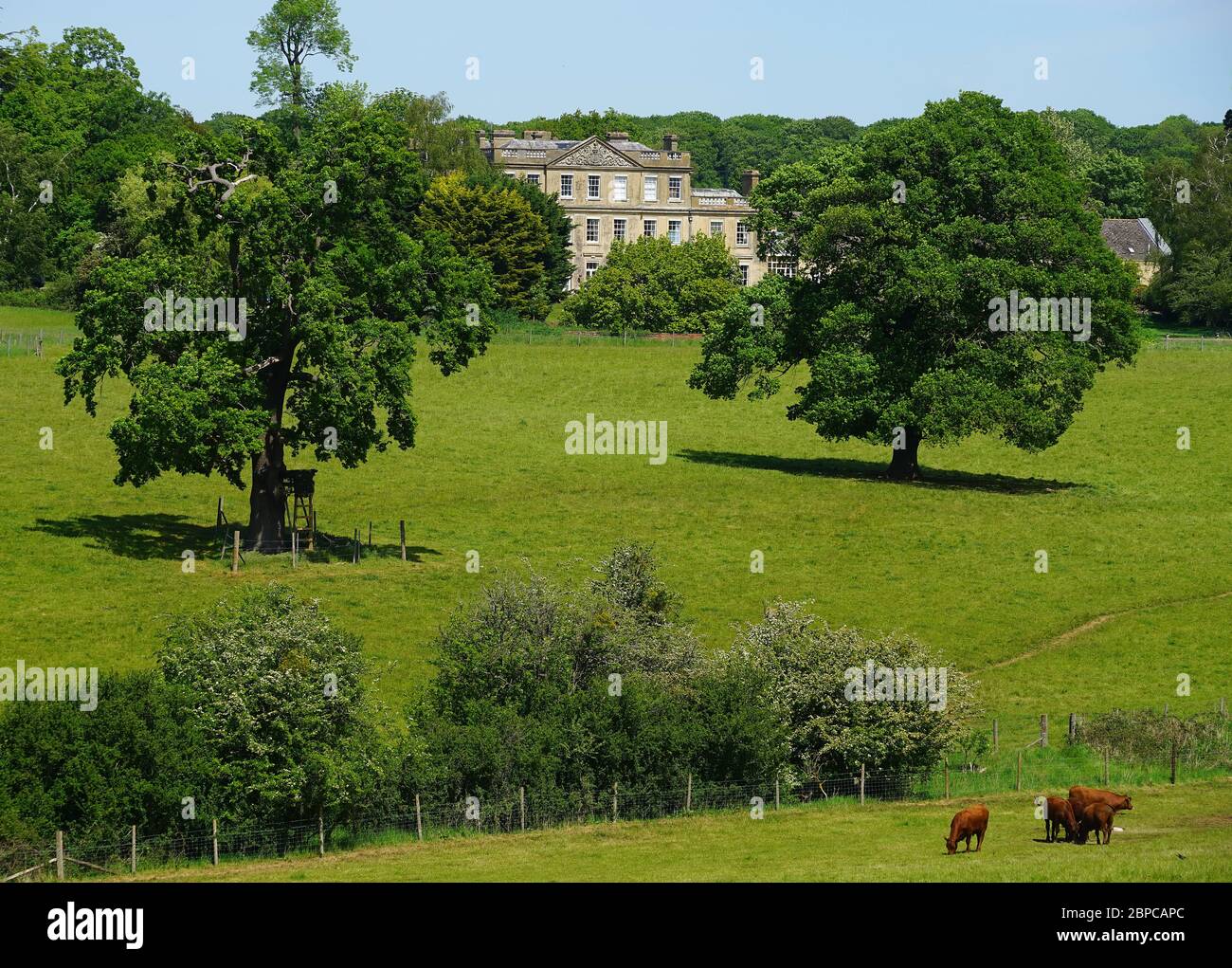 Sullivan House High Resolution Stock Photography and Images - Alamy