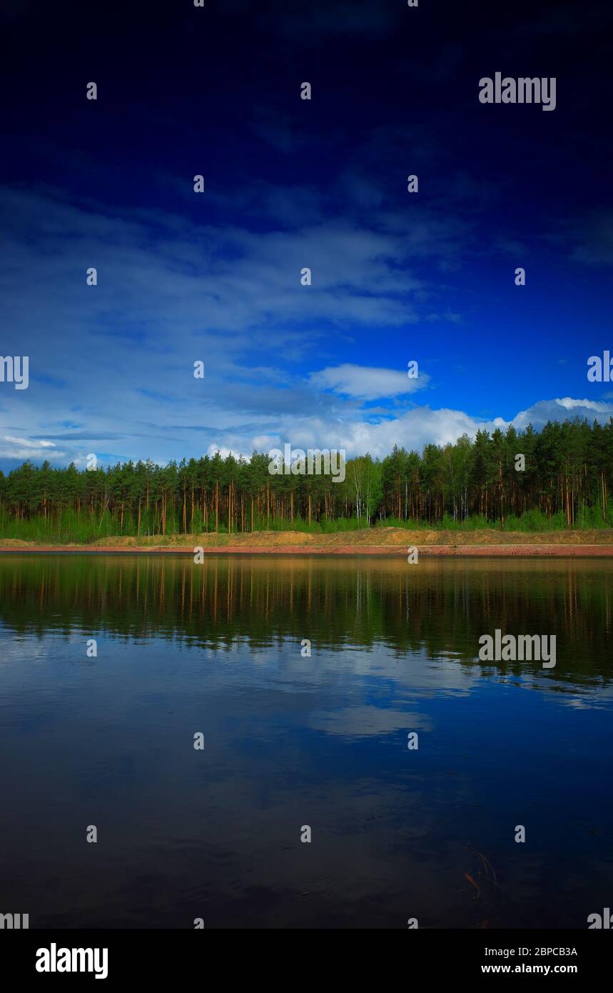 Summer forest on river bank landscape background Stock Photo - Alamy