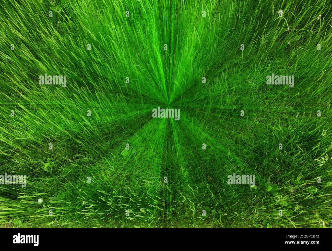 Summer green grass abstraction background Stock Photo - Alamy