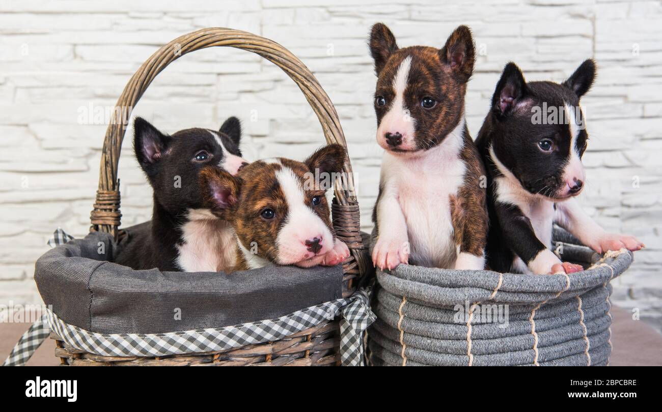 Four Babies Nursery High Resolution Stock Photography and Images - Alamy