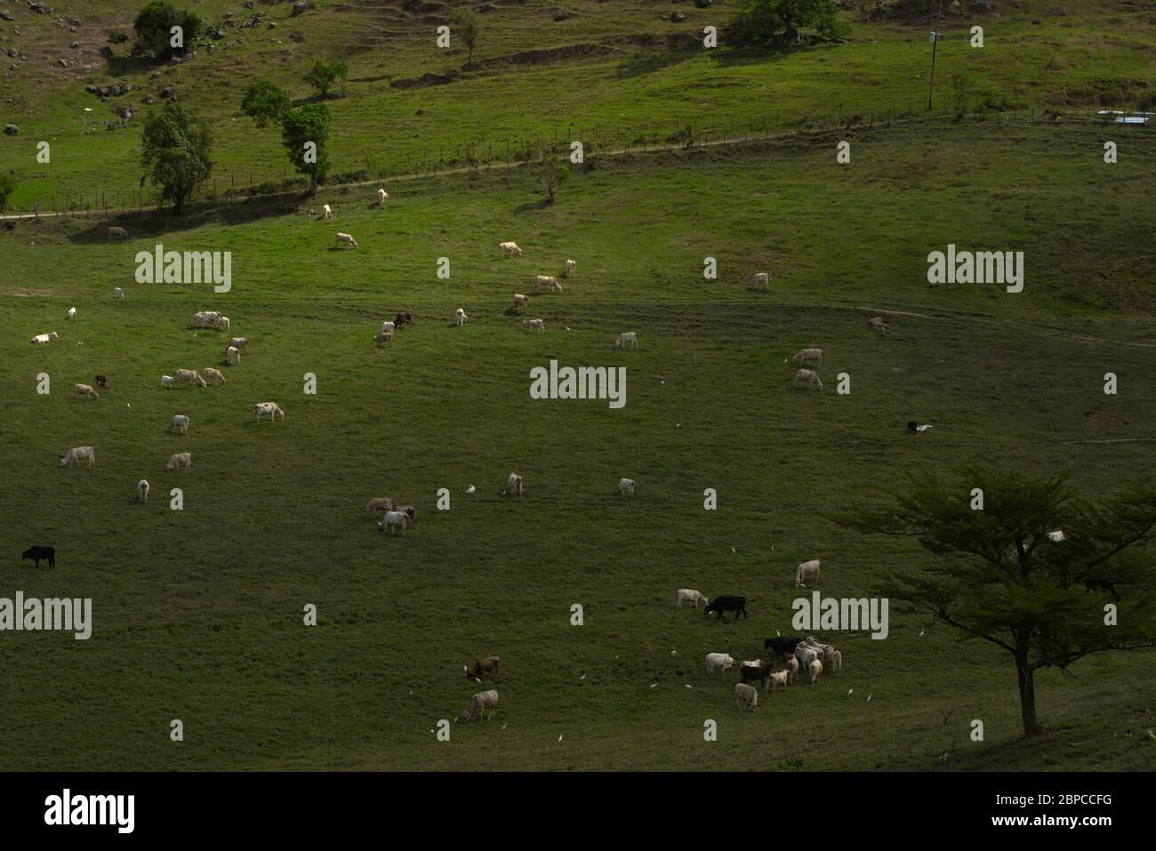 Coamo puerto rico hi-res stock photography and images - Alamy