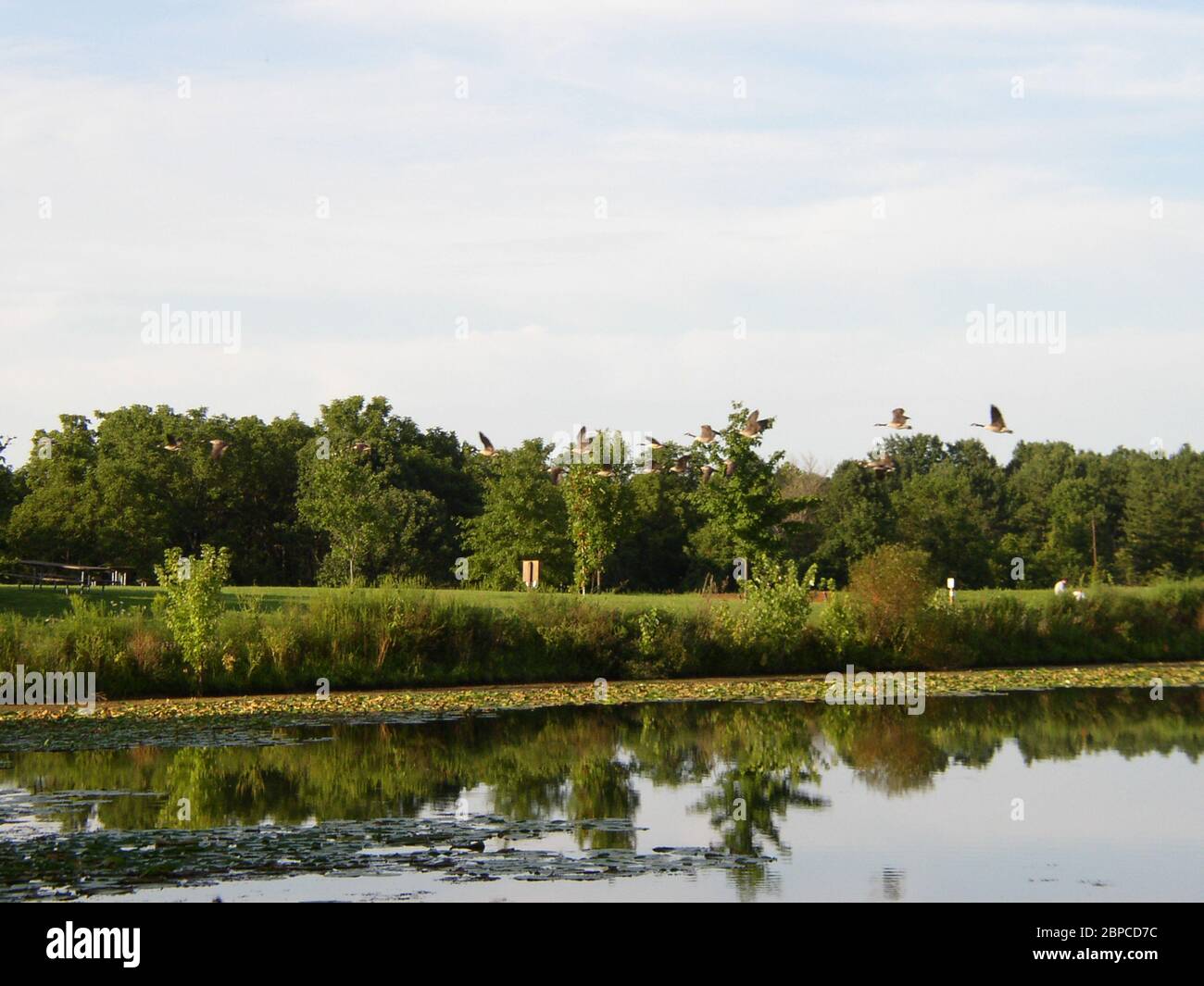 Pond, Slate Run Metropark, Ohio Stock Photo - Alamy