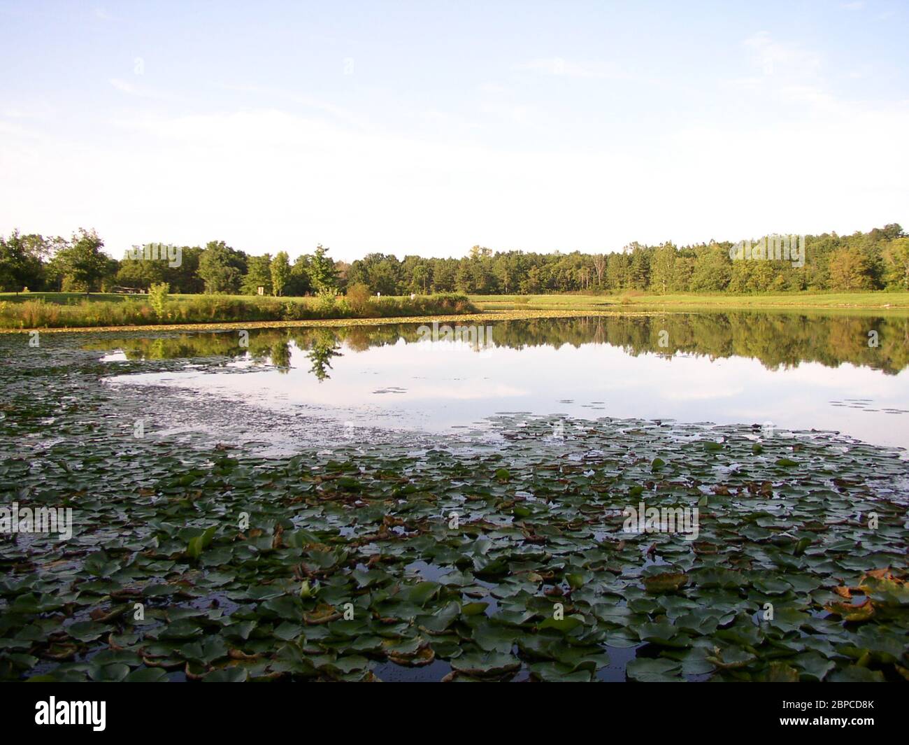 Pond, Slate Run Metropark, Ohio Stock Photo - Alamy