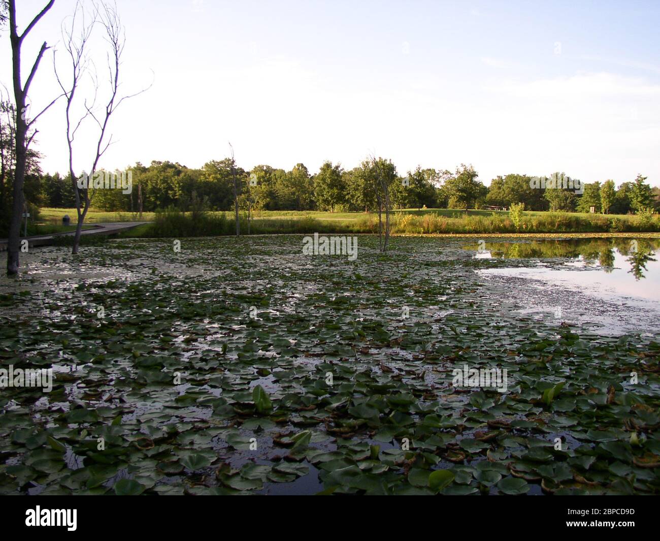 Pond, Slate Run Metropark, Ohio Stock Photo - Alamy