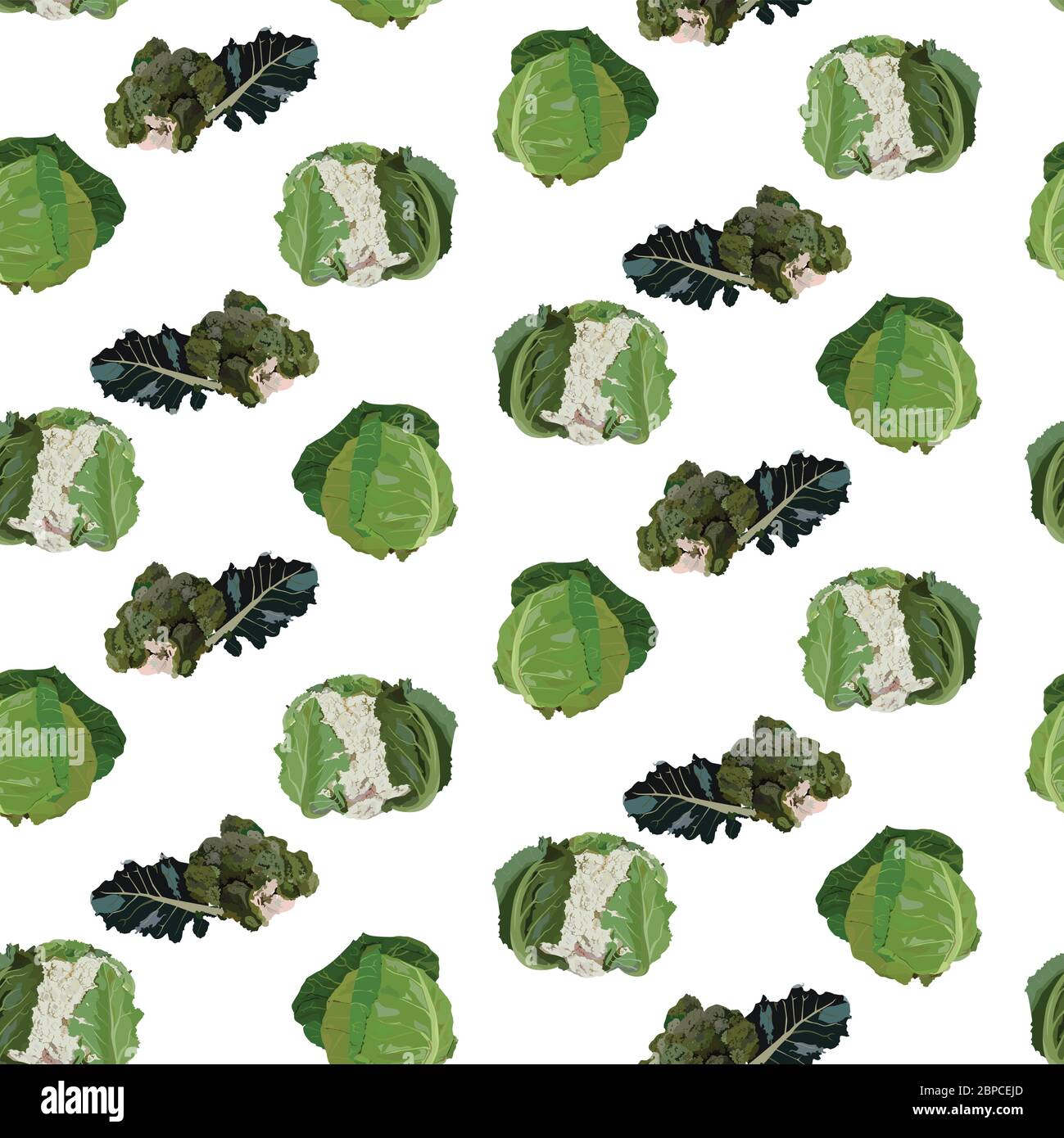 Vector seamless pattern with fresh healthy cabbage Stock Vector Image ...