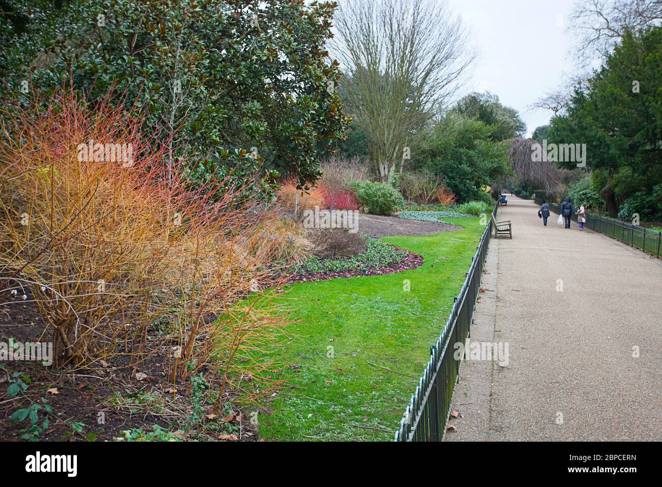 The Flower Walk, Kensington Gardens Stock Photo - Alamy