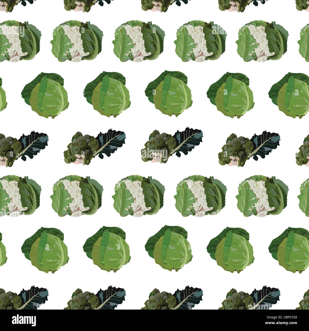 Vector seamless pattern with fresh healthy cabbage Stock Vector Image ...