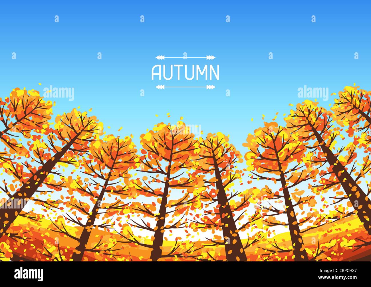 Autumn forest background with stylized trees Stock Vector Image & Art ...