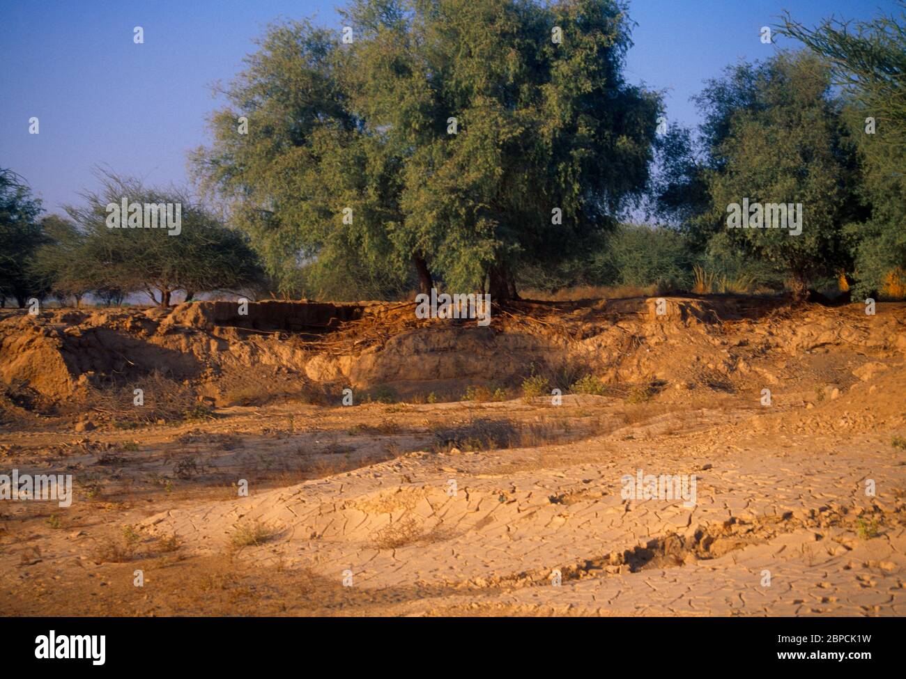Sharjah UAE Wadi Seasonal River Soil Erosion Stock Photo - Alamy