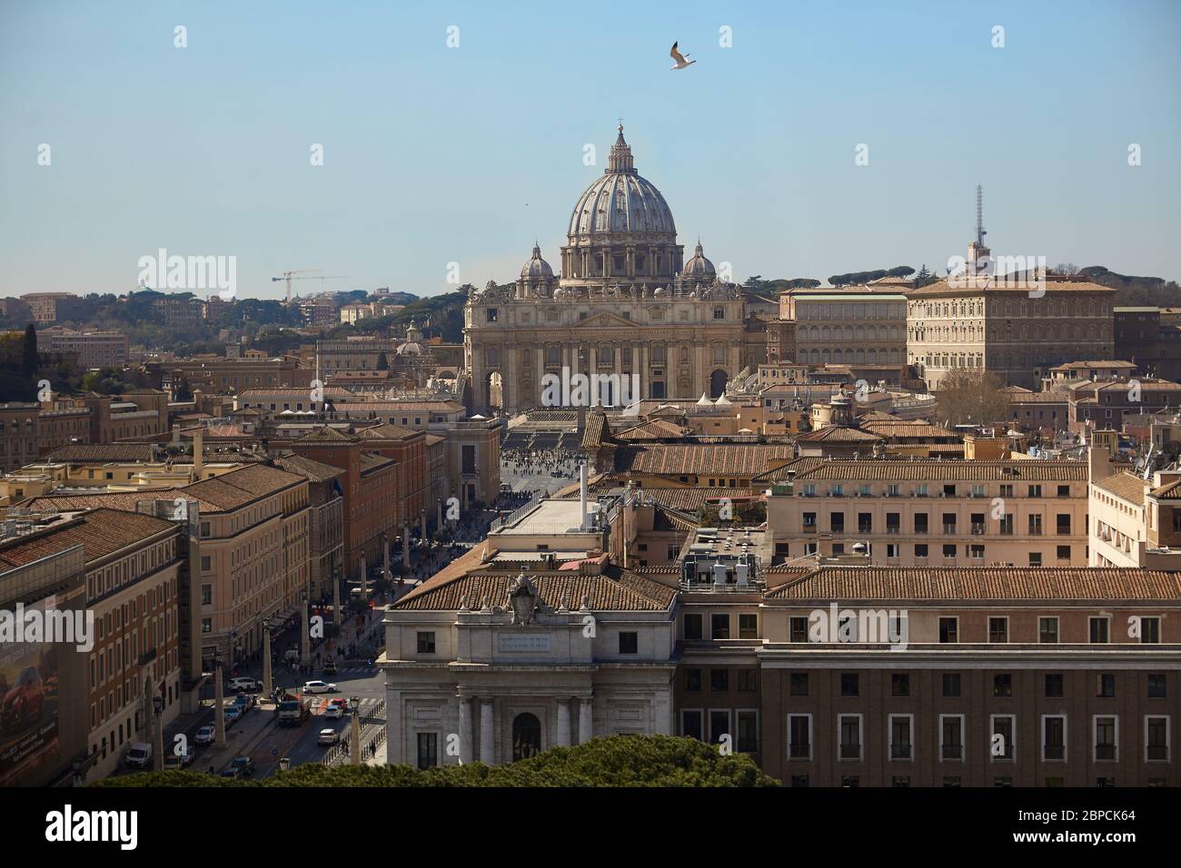 Bird flying over St. Peter's Basilica Stock Photo - Alamy