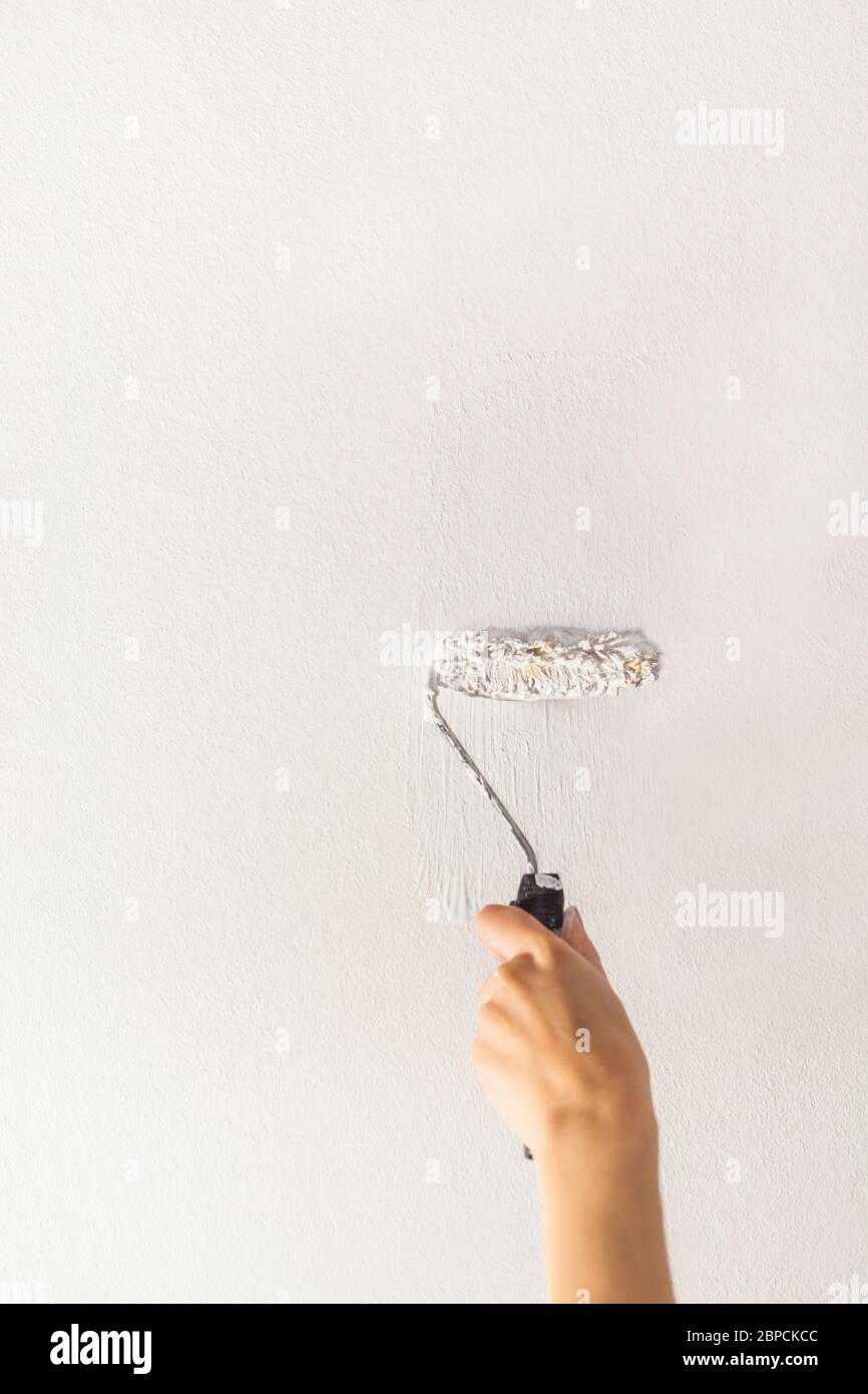 Human hand with a small roller of paint begins to paint a white wall ...