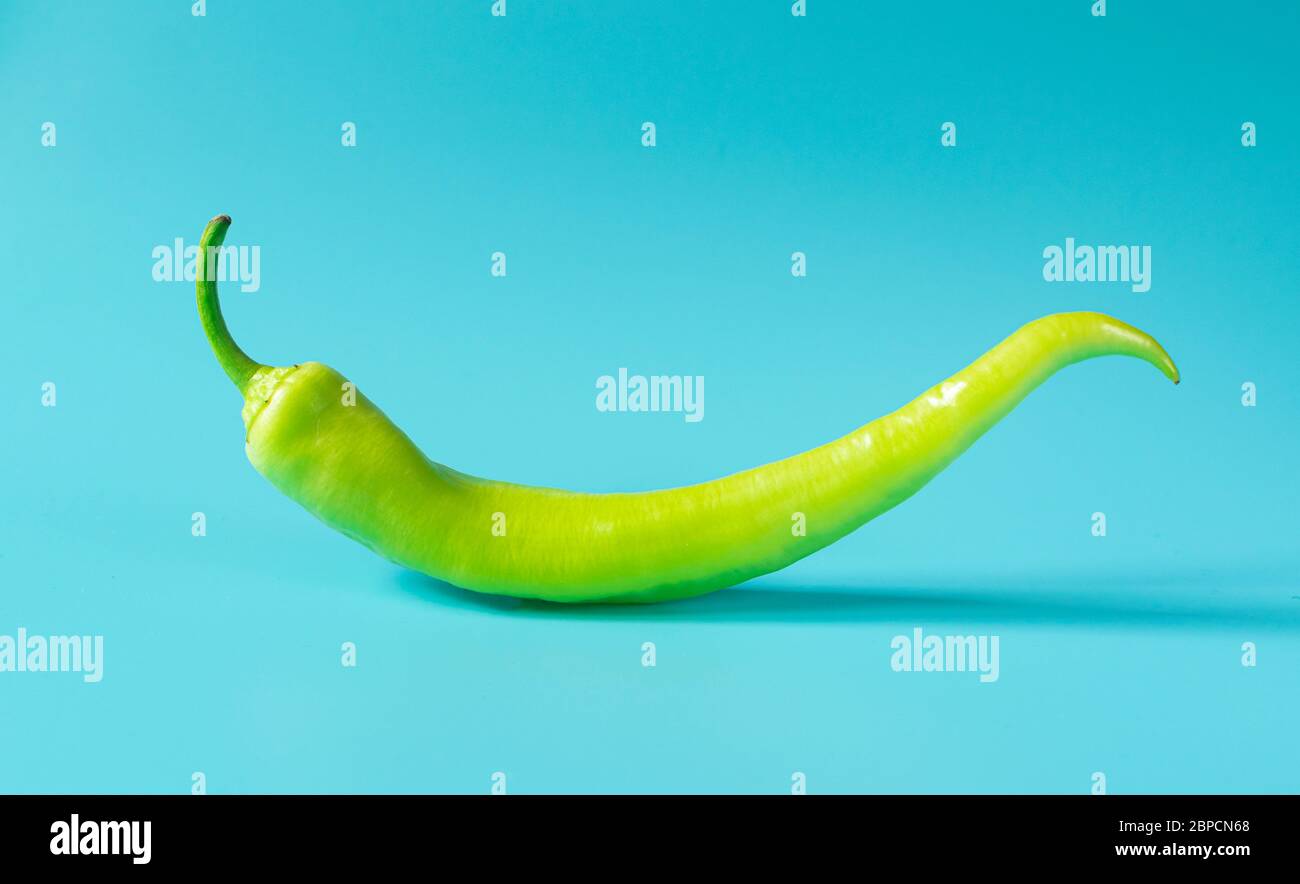 Single light green pepper on light blue background Stock Photo - Alamy
