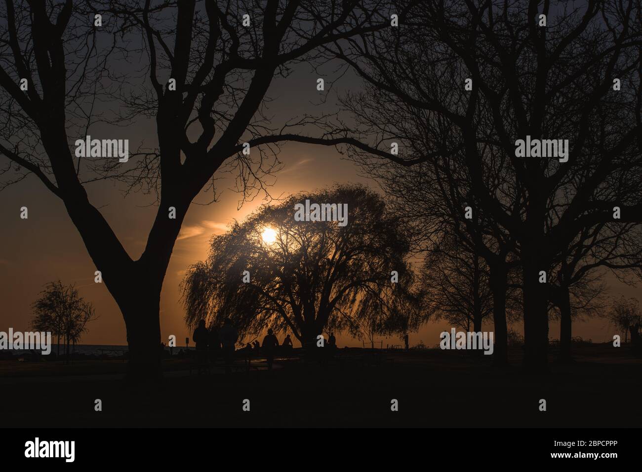 Edgewater Park Willow Tree in Cleveland Ohio at Sunset Stock Photo - Alamy