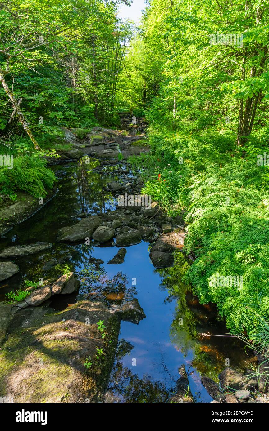 Summer landscape on sanctuary falls hi-res stock photography and images ...