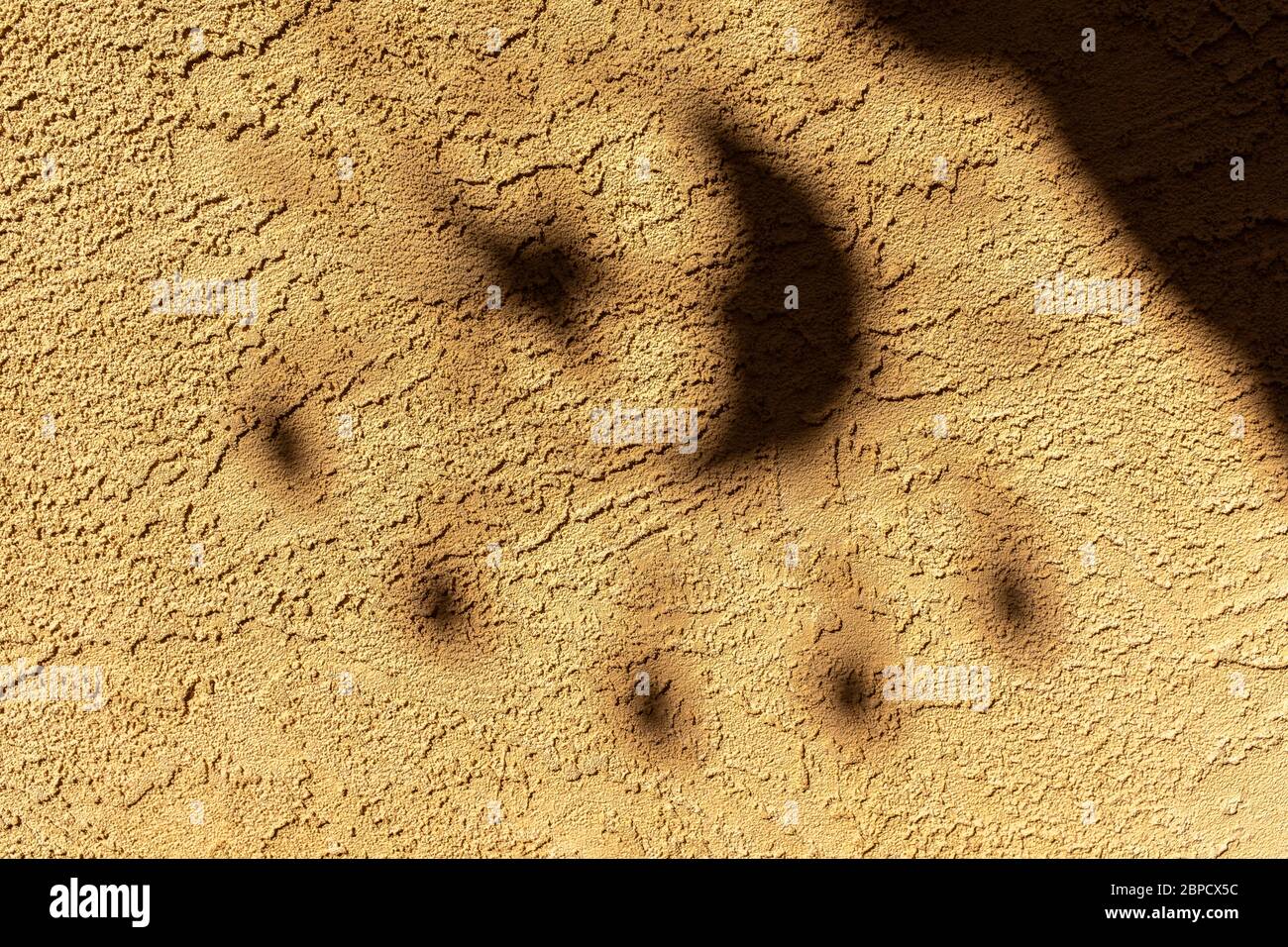 Moon shades hi-res stock photography and images - Alamy