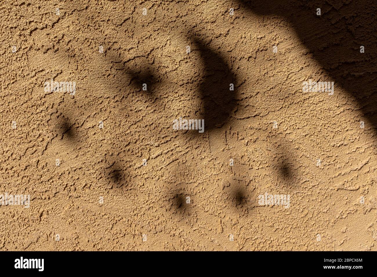Moon shades hi-res stock photography and images - Alamy