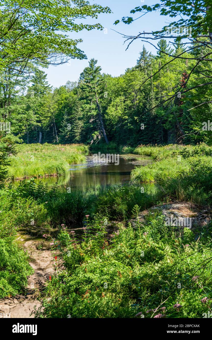 Victoria Falls Conservation Area showing nature preserve hiking area ...