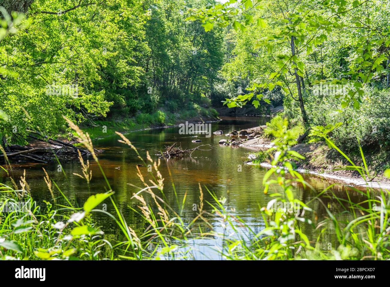 Victoria Falls Conservation Area showing nature preserve hiking area ...
