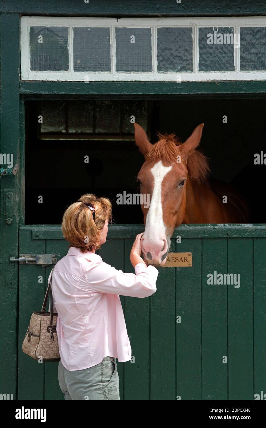 Mount juliet kilkenny hi-res stock photography and images - Alamy