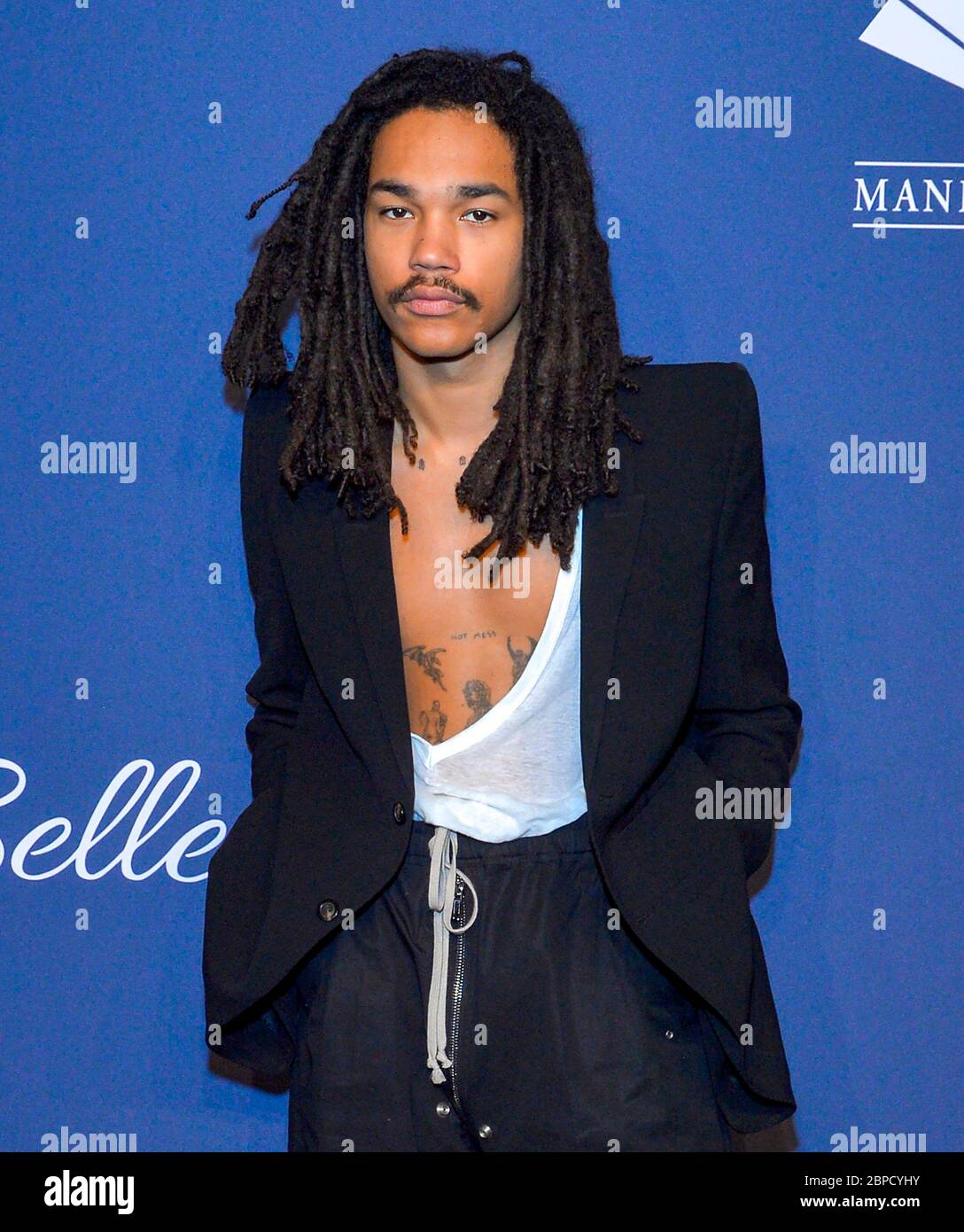 New York, NY - Feb 05, 2020: Luka Sabbat attends the 2020 amfAR New ...