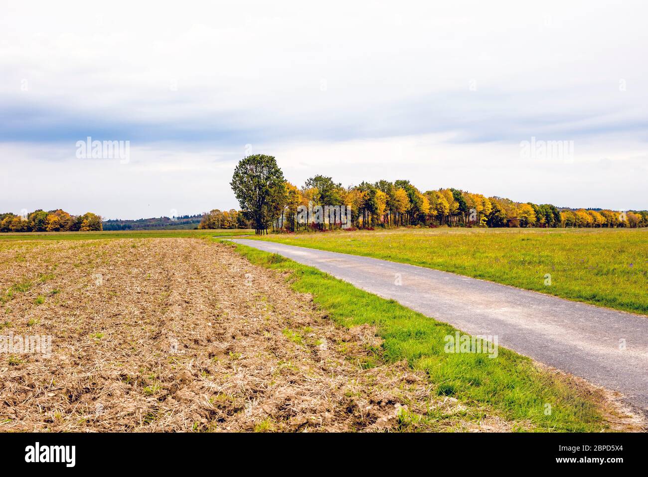 Countryside with Trees in Germany Stock Photo - Alamy