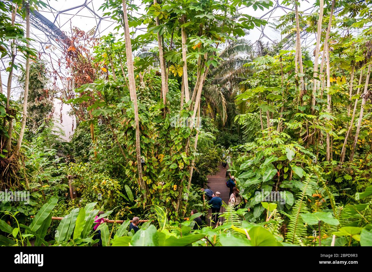Biomes of the world hi-res stock photography and images - Alamy