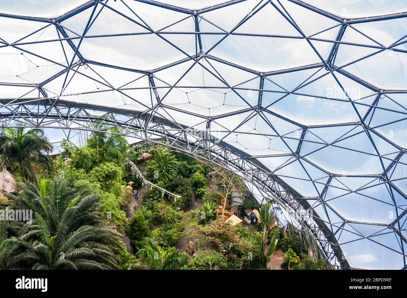 View from the Rainforest Canopy Walkway at the Rainforet Biome in the ...