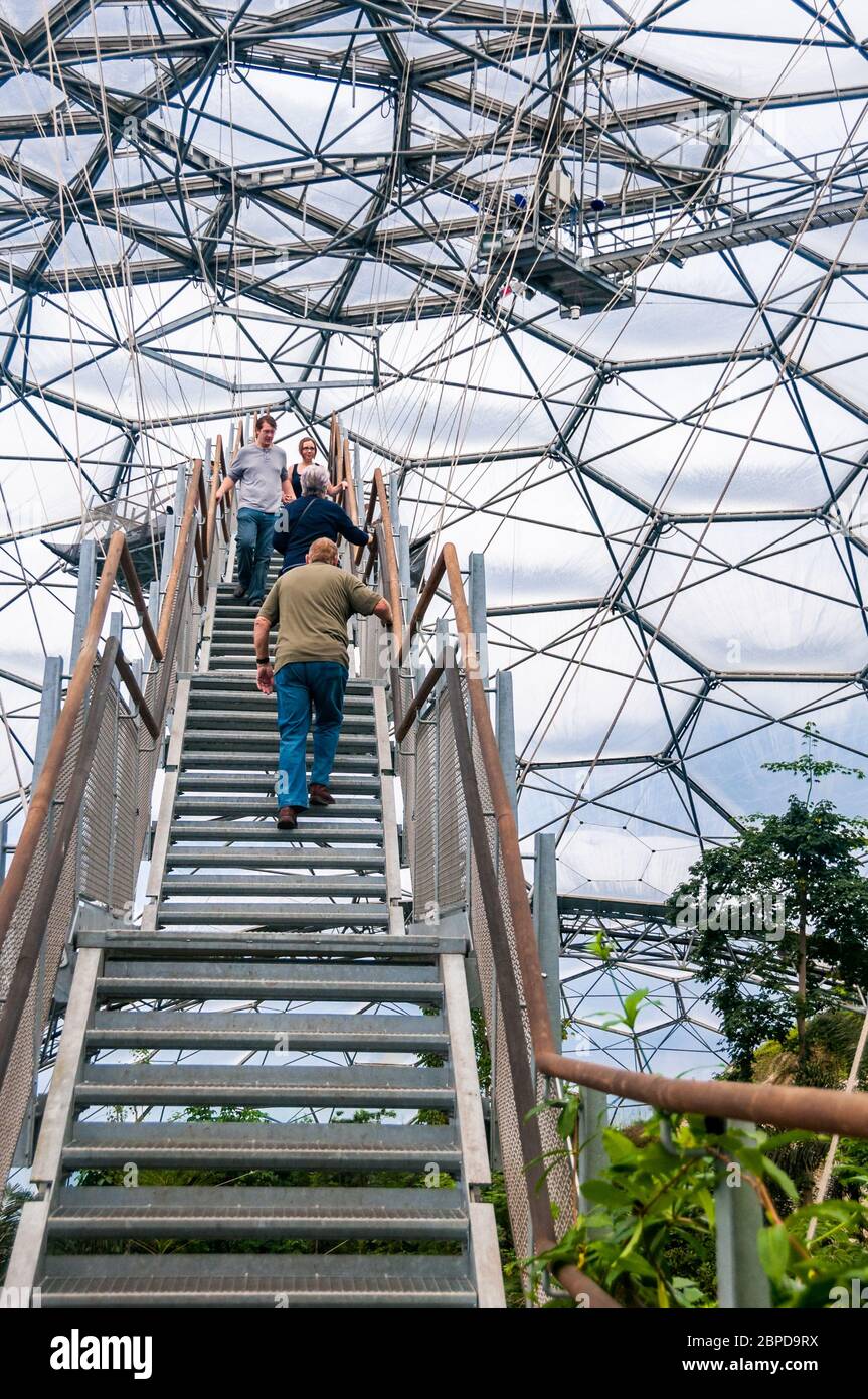 View from the Rainforest Canopy Walkway at the Rainforet Biome in the ...
