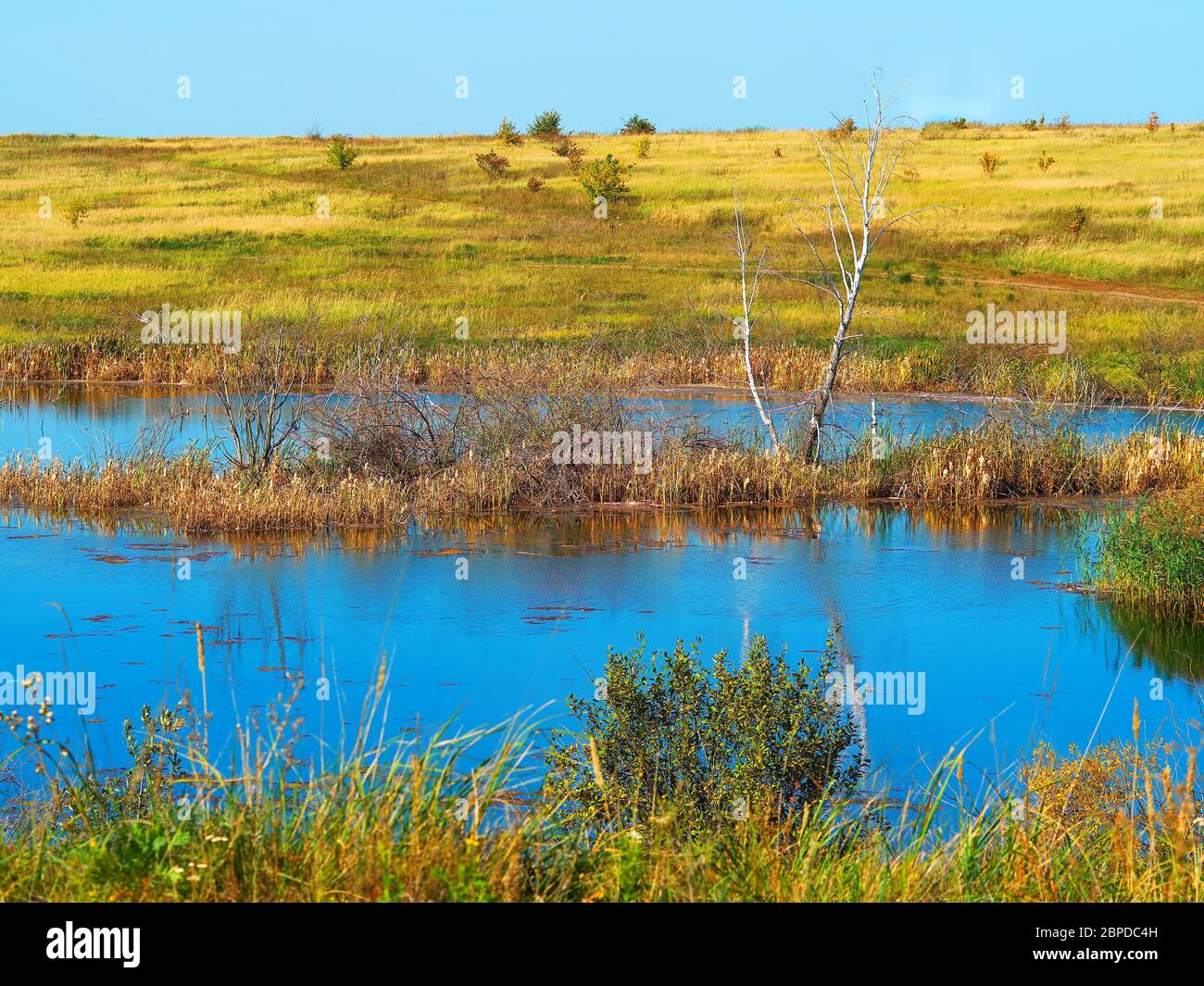 Backwater concept hi-res stock photography and images - Alamy