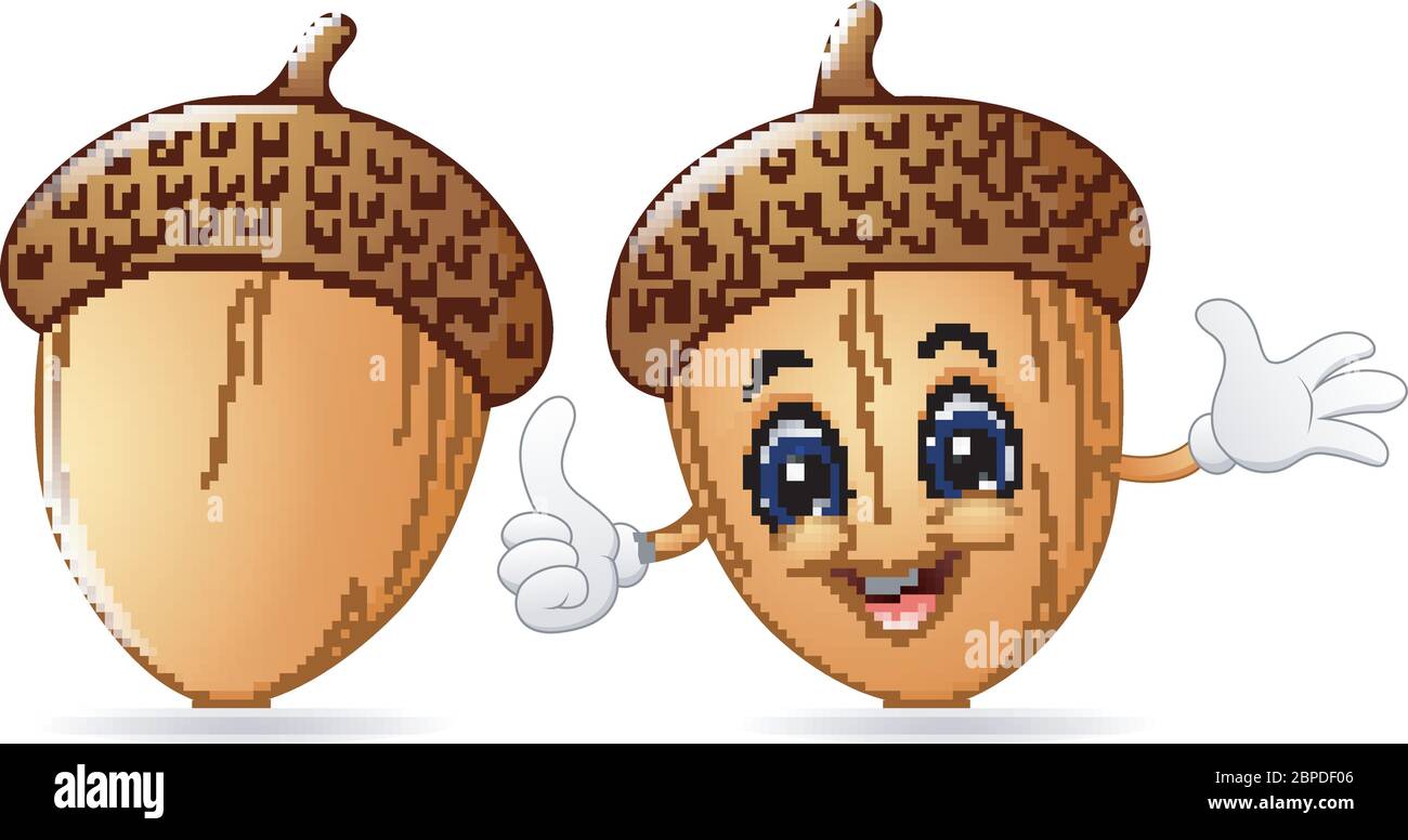 Happy acorn cartoon giving thumb up Stock Vector Image & Art - Alamy