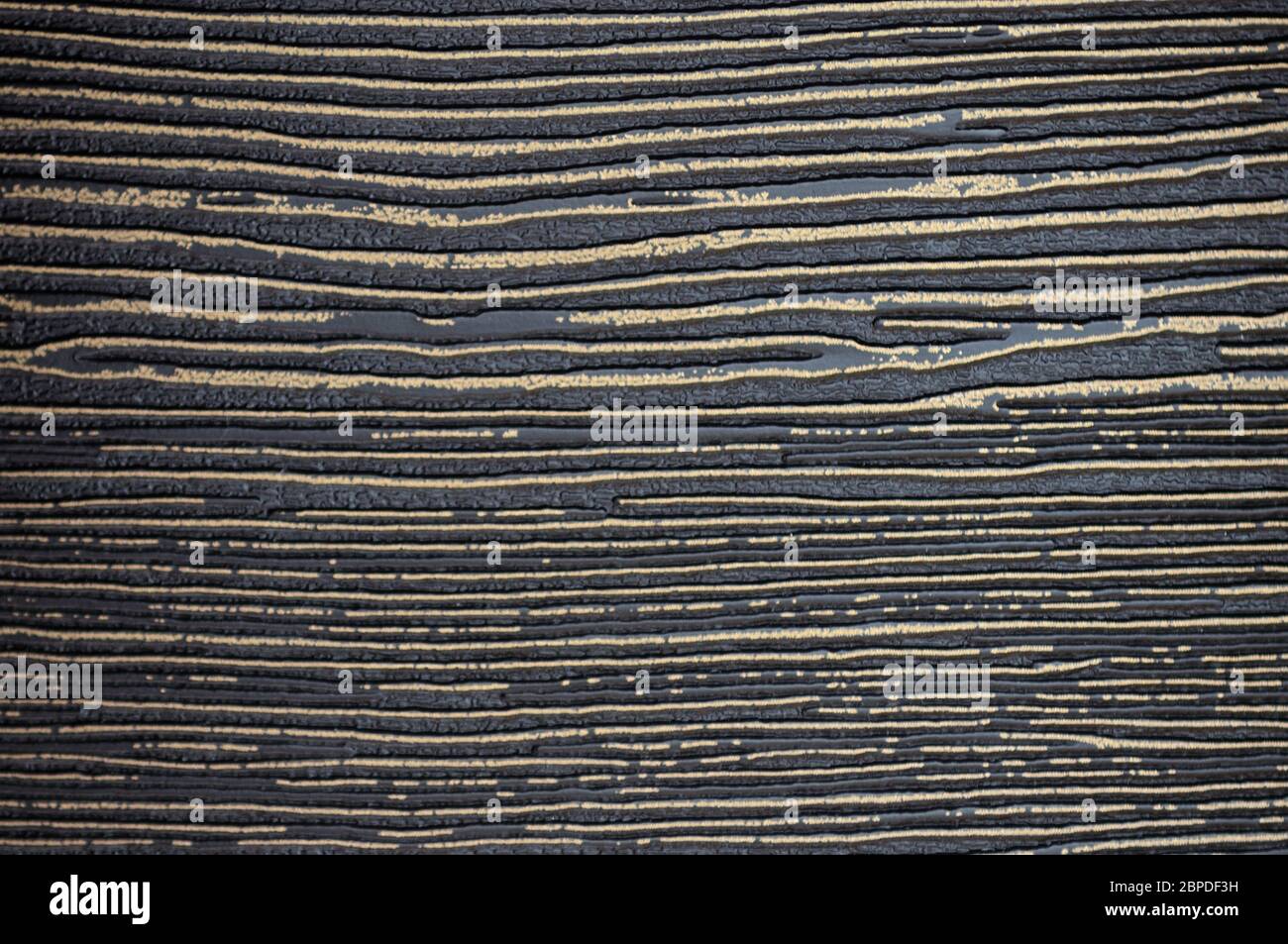 Wenge colour hi-res stock photography and images - Alamy