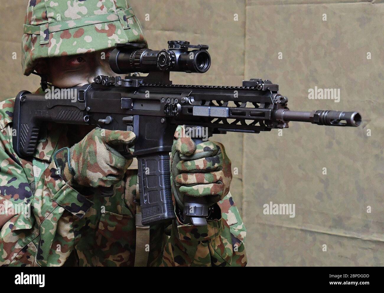 Japan Ground Self-Defense Force's HOWA Type 20 assault rifle displayed ...