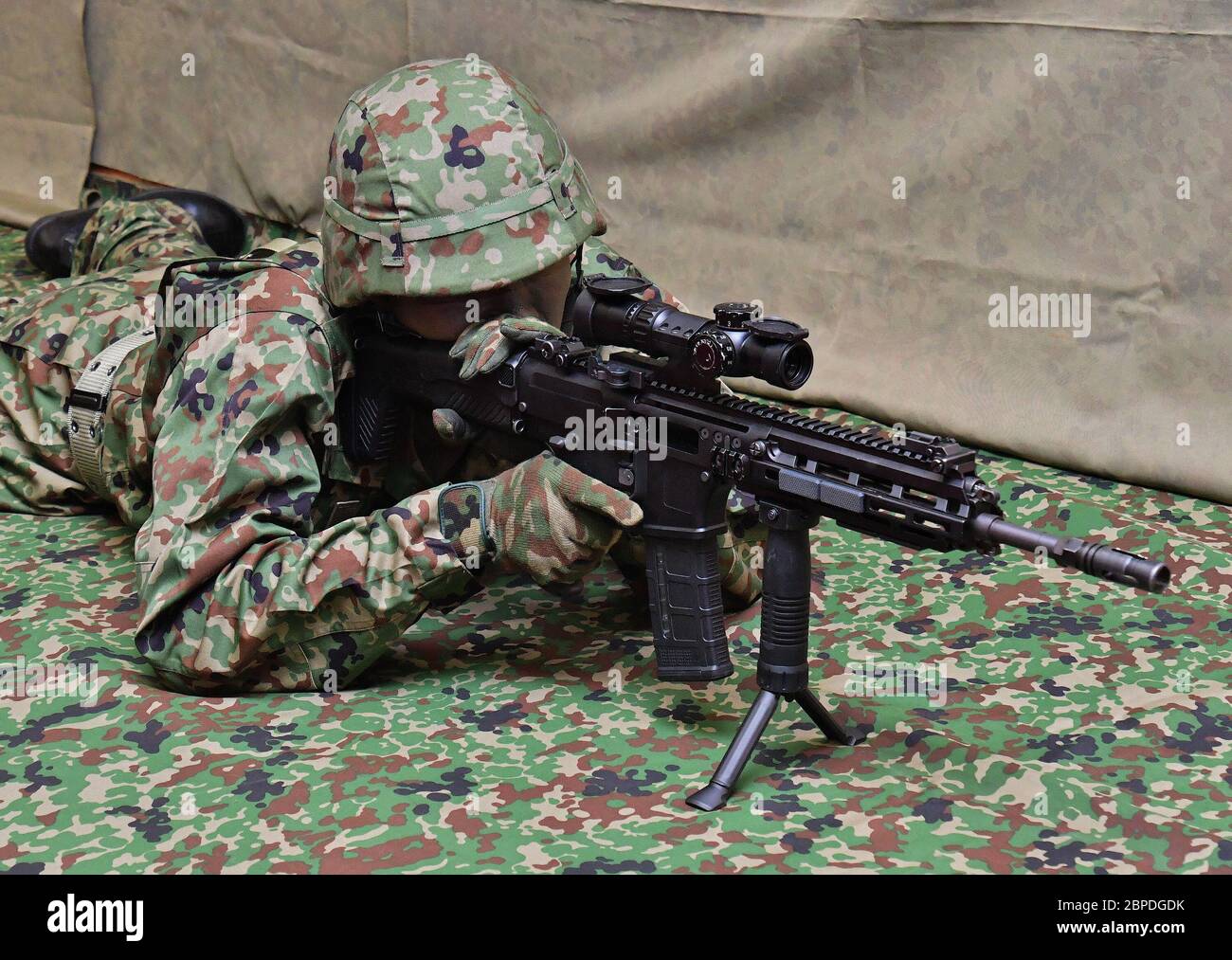 Japan Ground Self-Defense Force's HOWA Type 20 assault rifle displayed ...