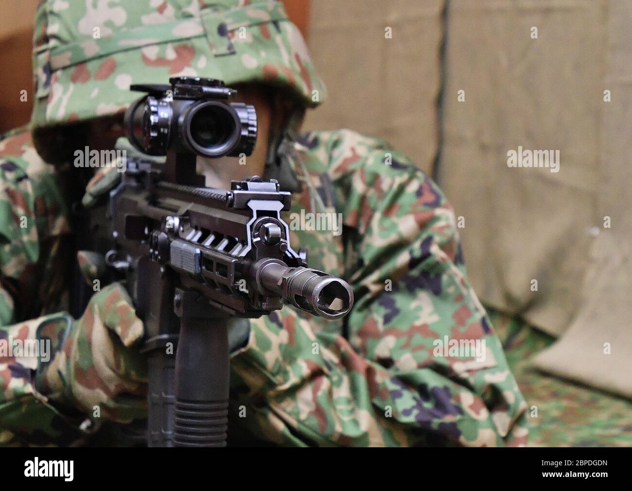 Japan Ground Self-Defense Force's HOWA Type 20 assault rifle displayed ...