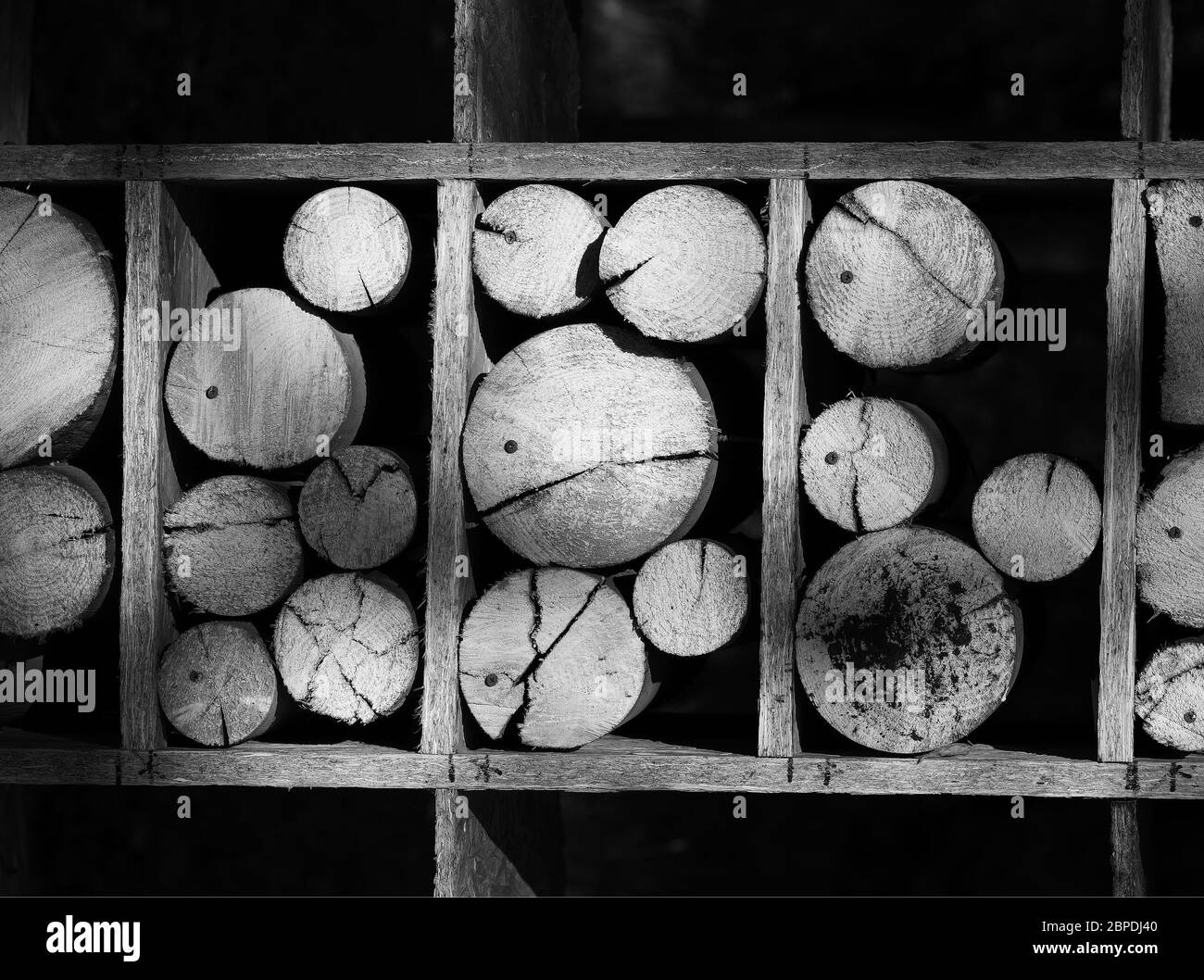 Stack wooden logs on Black and White Stock Photos & Images - Alamy