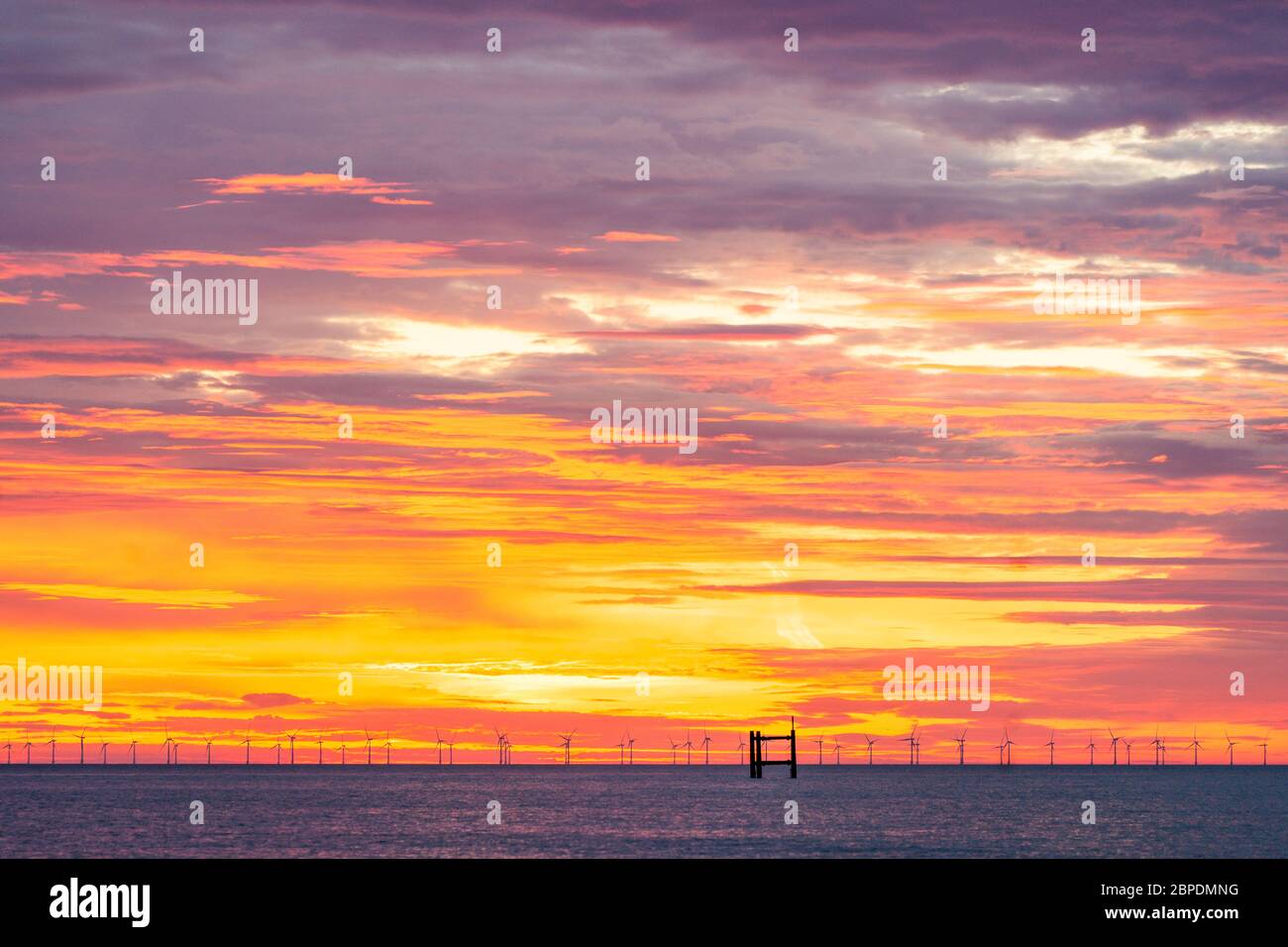 The dawn sky over the Thanet offshore wind farm off the Kent coast in ...
