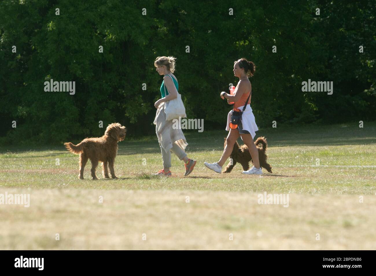 Cannizaro park in wimbledon hi-res stock photography and images - Alamy