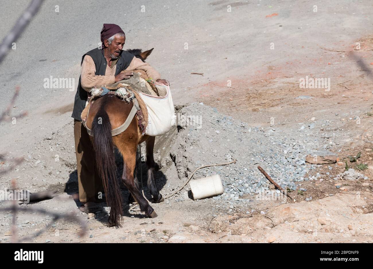 Men at work, An old man working hard with his horse for survival Stock ...