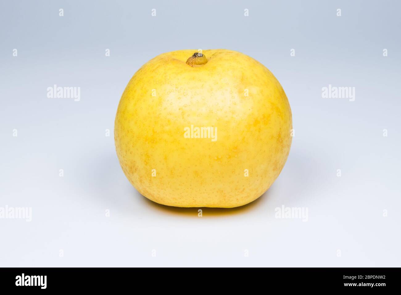 yellow asian pear fruit on white background Stock Photo - Alamy