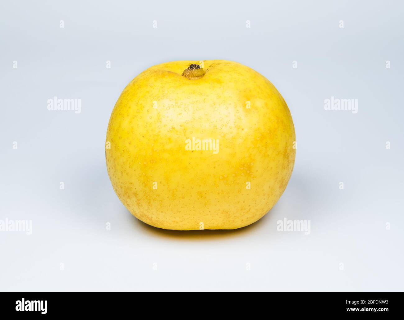 yellow asian pear fruit on white background Stock Photo - Alamy