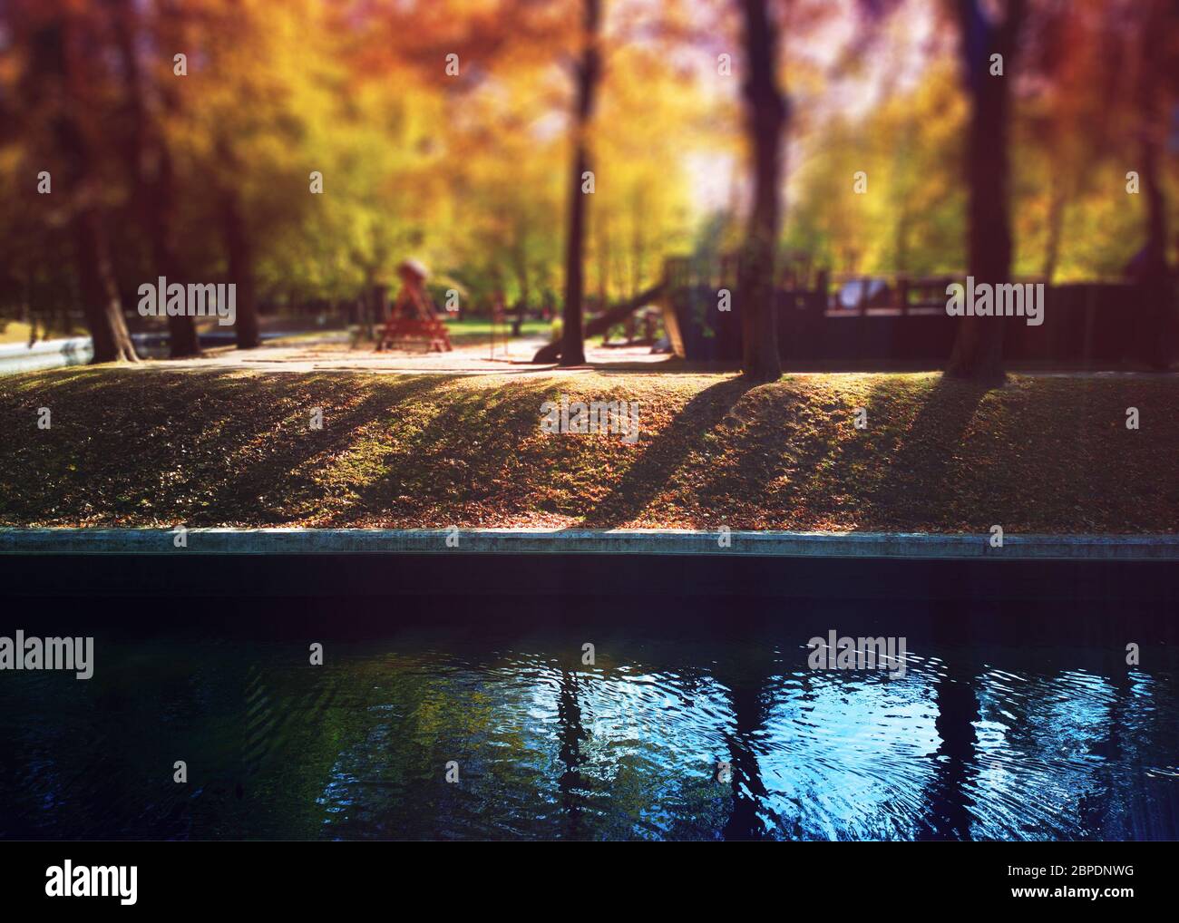 Houston skyline and memorial park hi-res stock photography and images ...