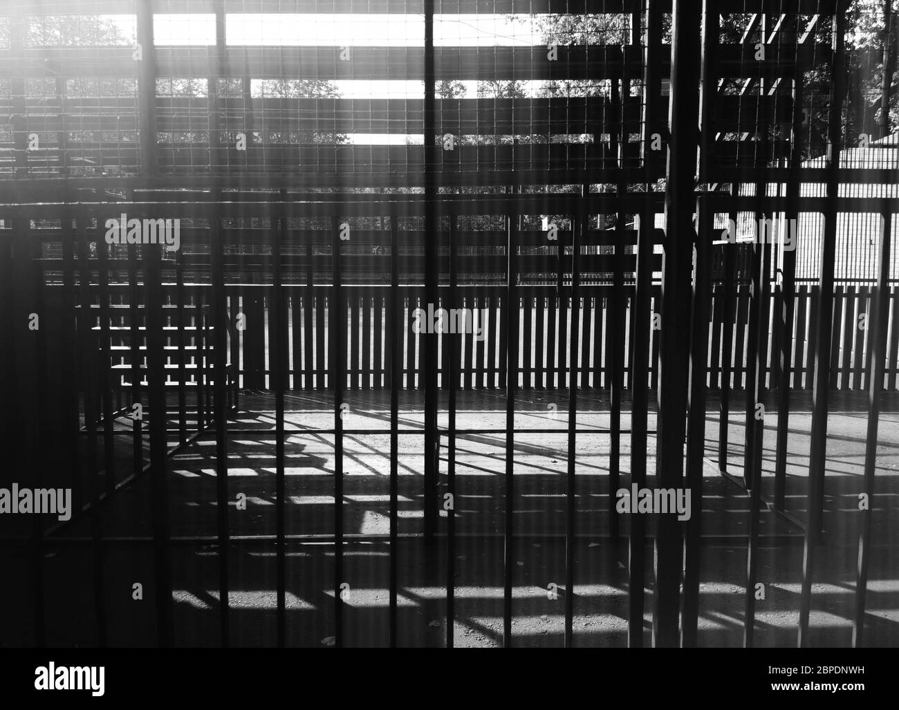 Vertical fence with dramatic light leaks background Stock Photo - Alamy